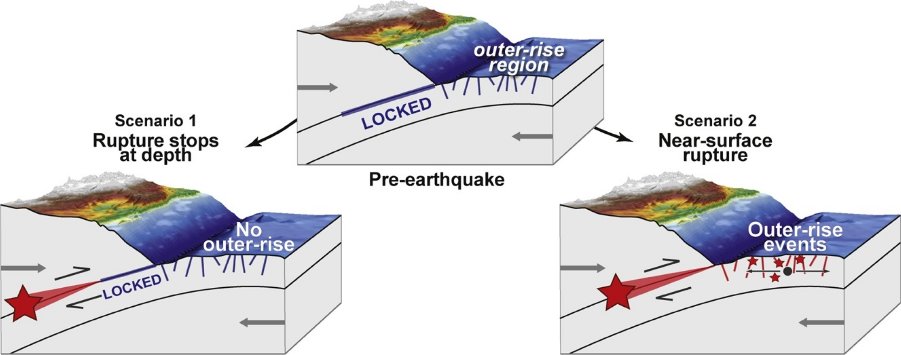 Shallow megathrust earthquake ruptures betrayed by their outer-trench ...